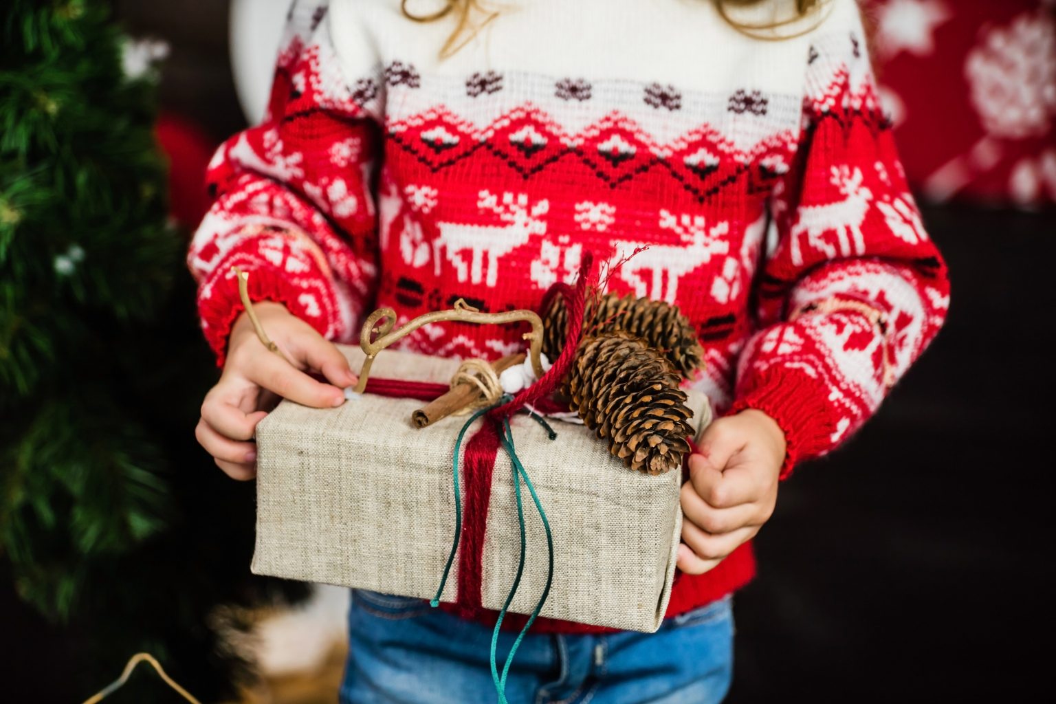 15+ Seriously Great Christmas Gifts (for Everyone!) • Picky Stitch