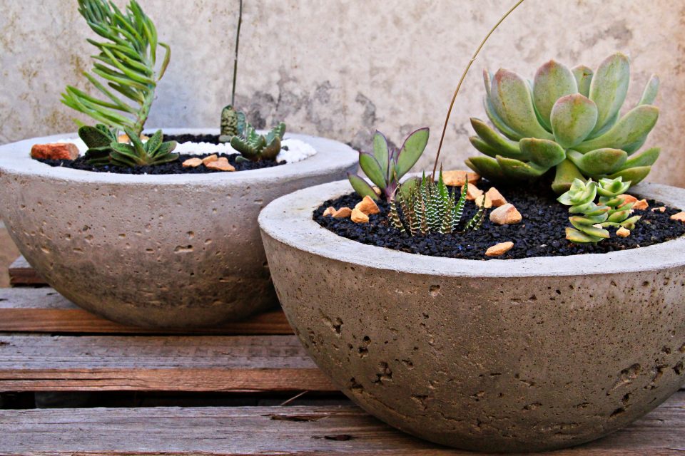 DIY Cement Crafts • Picky Stitch